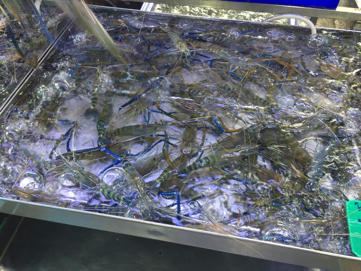 パタヤのシーフードマーケット ナクルア魚市場(Naklua Fish Market)行き方と地図｜Thaim Line Bkk(タイムライン ...